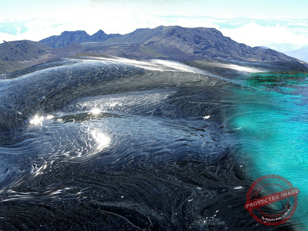 Account of Life on Wyzdom | Galactic Association of Intelligent Life ...